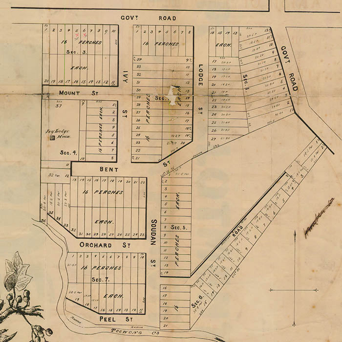 Poster Estate Map - Ivy Estate Toowong Brisbane 1884 – Library Shop