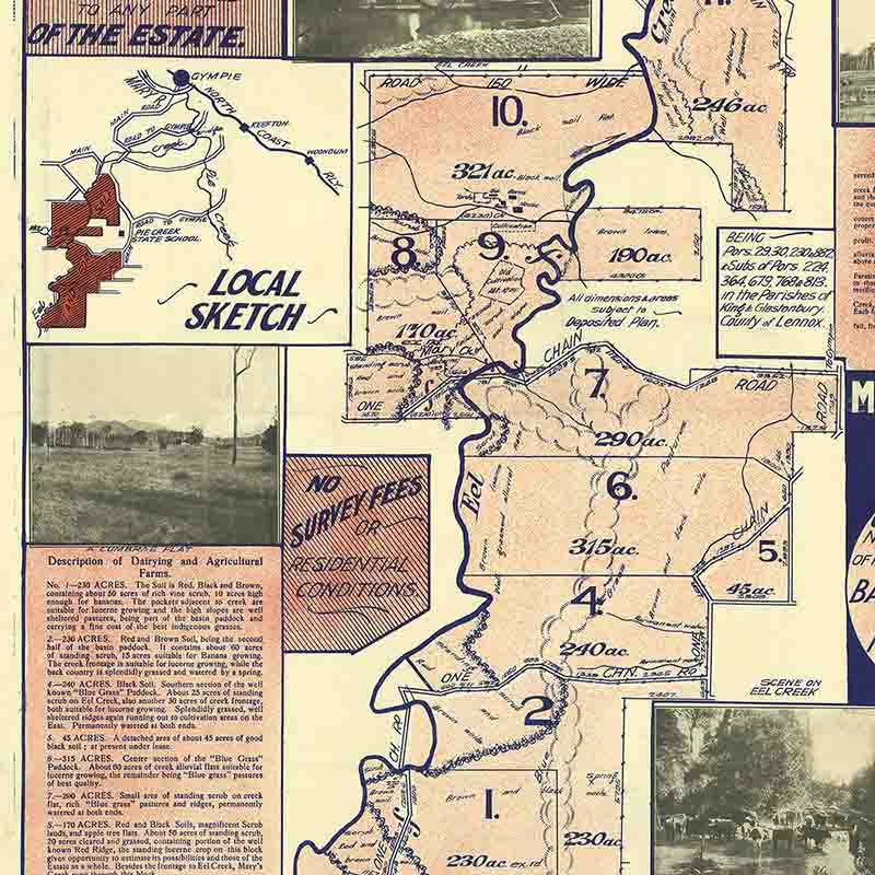 Poster Estate Map - Cumbrae Estate, Gympie 1921 – Library Shop