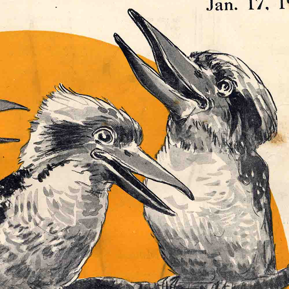 Poster Cover from The Queenslander 1929 - Laughing Kookaburras ...