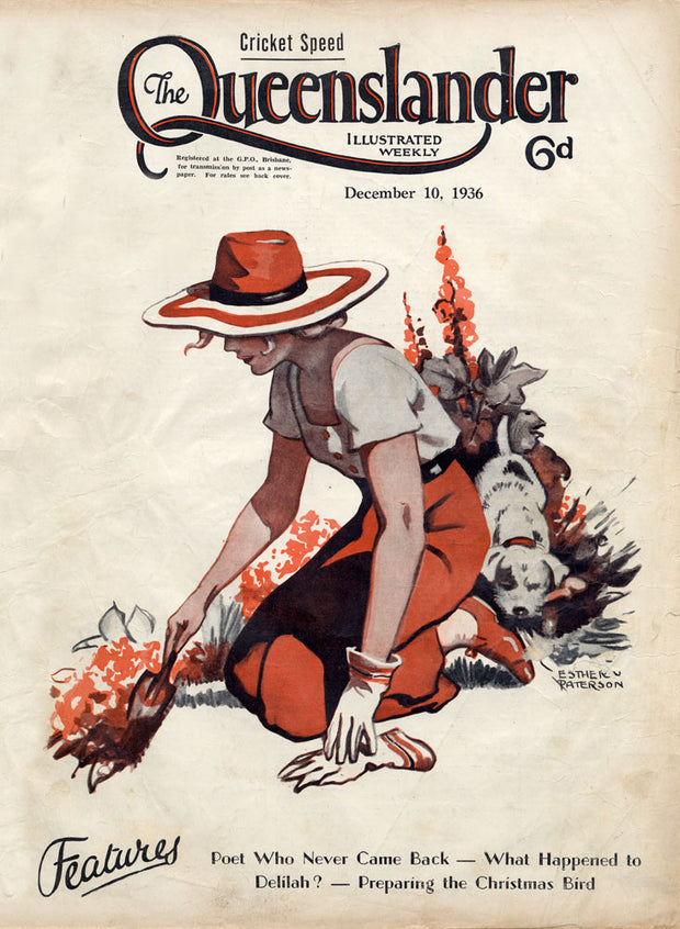 Queenslander magazine covers – Library Shop